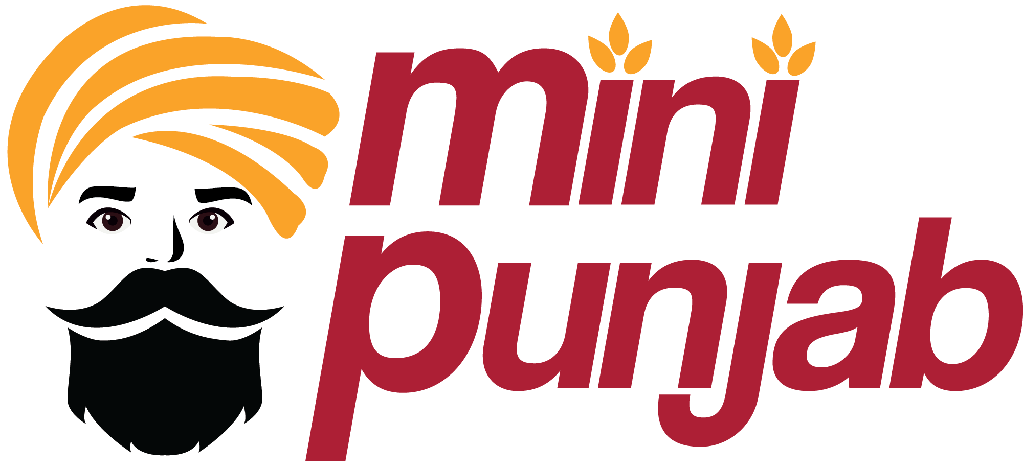 Home - Mini Punjab